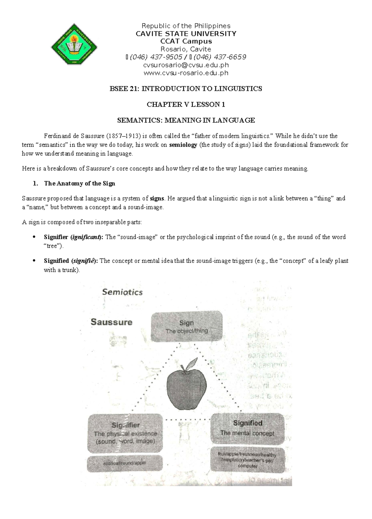 BSEE 21: Chapter V - Semantics and Meaning in Language - Studocu