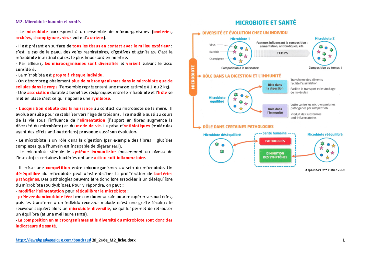 Cours de SVT : Microbiote humain et santé - lewebpedagogique/bouchaud 20_2nde_M2_fiche 1 M2 ...