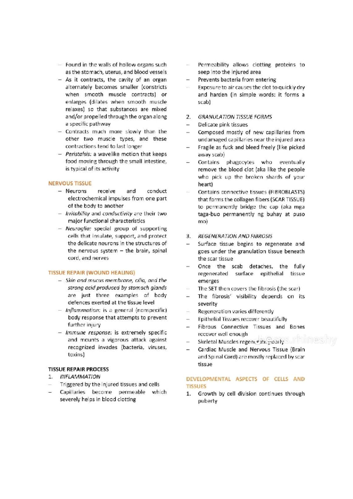 Anatomy Review Notes (ANAT 101): Tissue Repair and Healing Processes ...