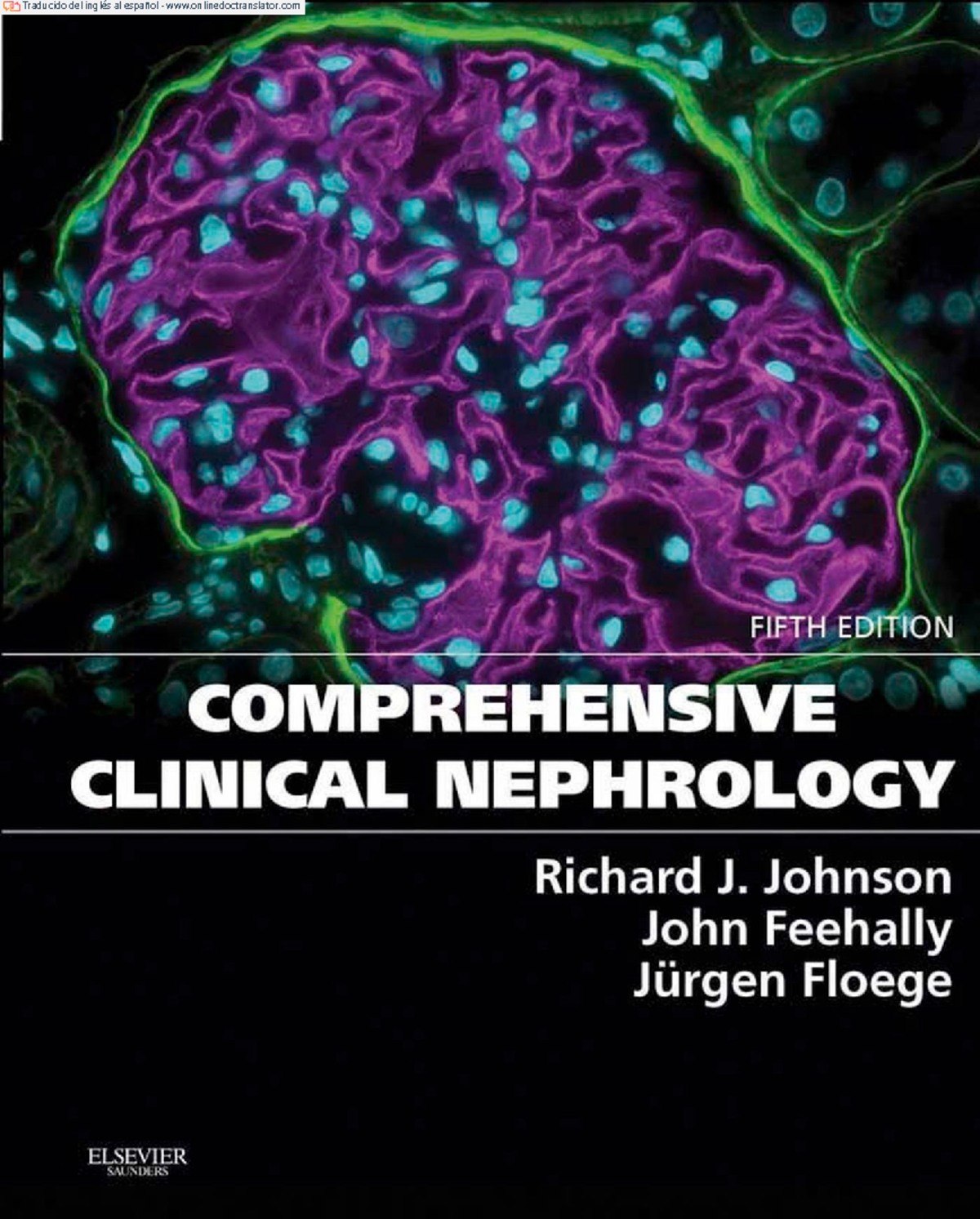 Lec 3- Comprehensive Clinical Nephrology Five edition Anatomia Renal ...