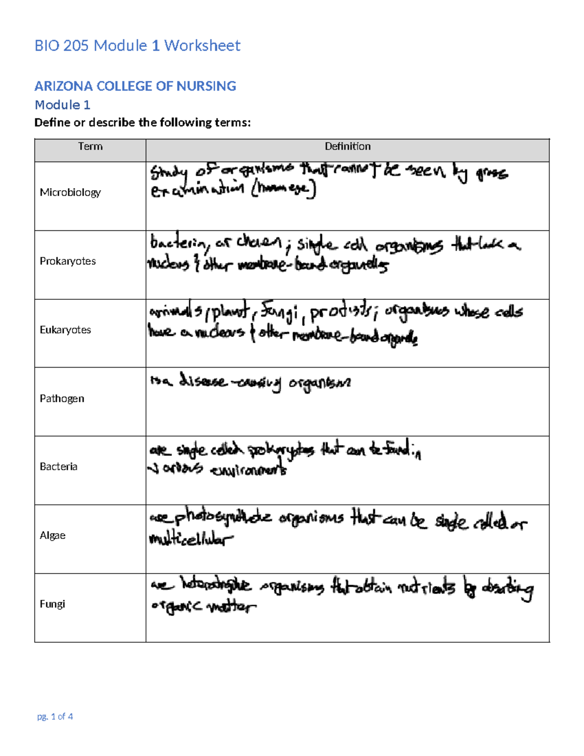 BIO 205 Module 1 Microbiology Worksheet and Key Concepts - Studocu