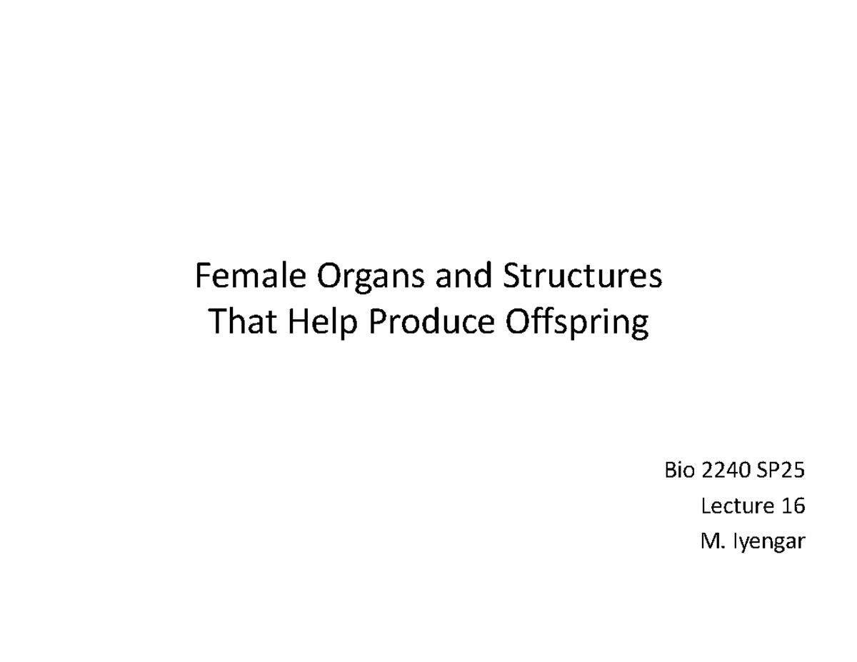 Female Reproductive System Overview - Bio 2240 SP25 Lecture 16 Notes ...