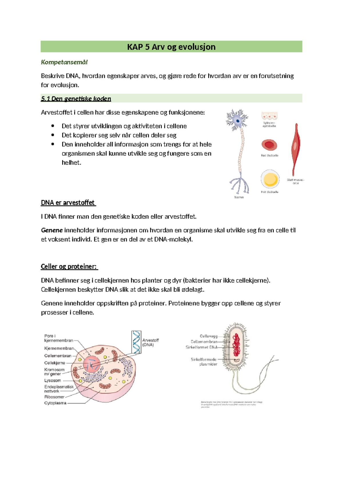 KAP 5 Arv og Evolusjon - Genetikk, Cellereproduksjon og Sykdommer - Studocu