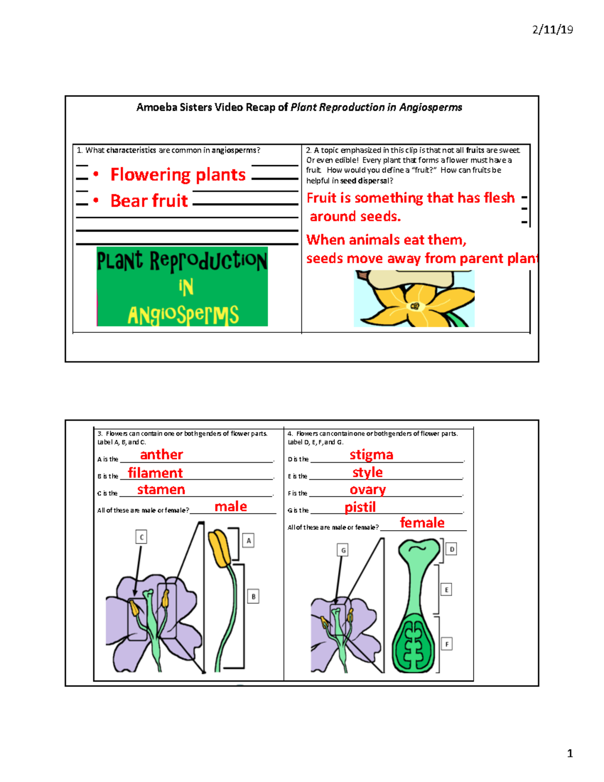 Plant Reproduction in Angiosperms: Flower Structure & Processes - Studocu