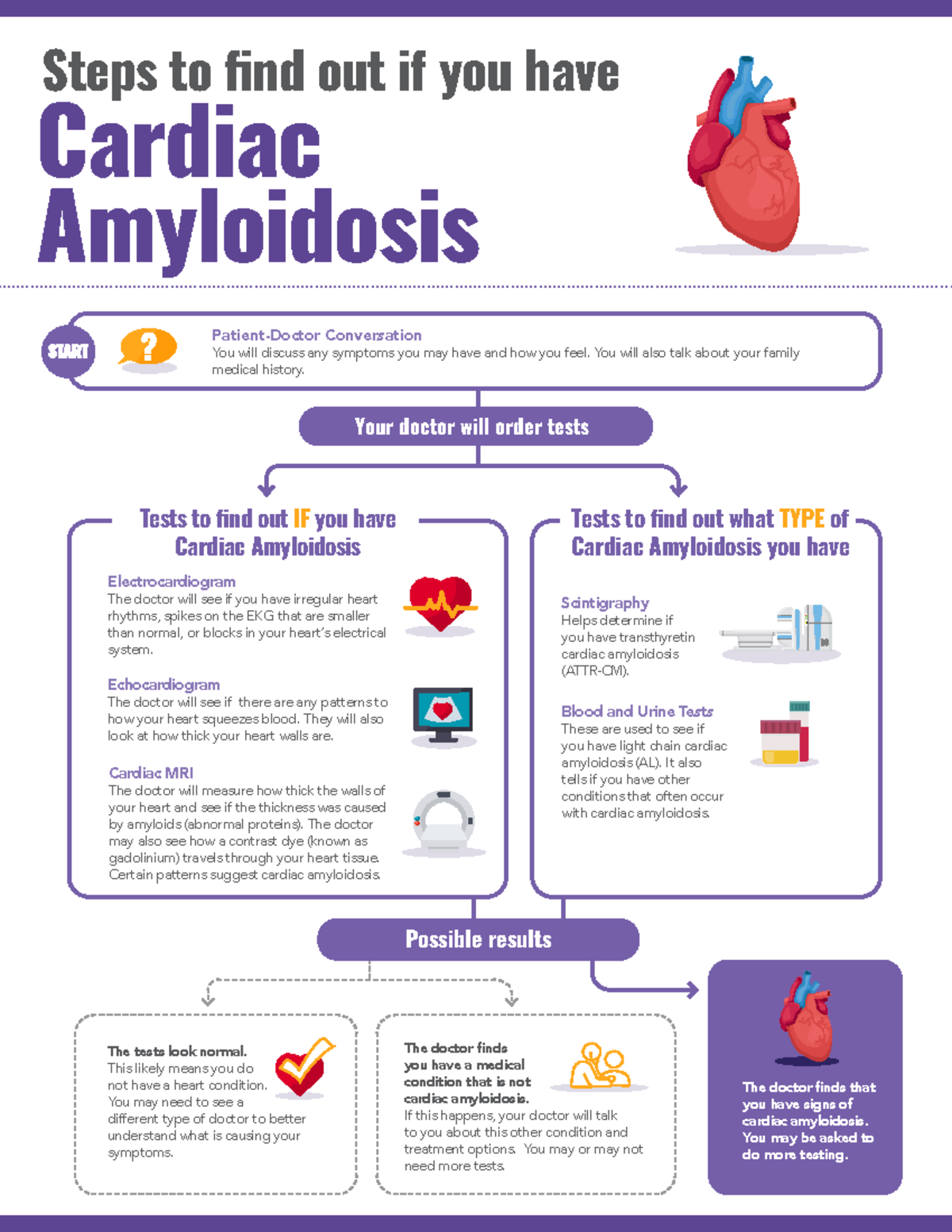 Infographic Cardiac Amyloidosis Steps to find out - Cardiac Amyloidosis ...