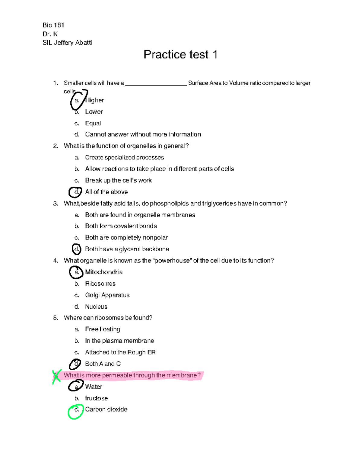 Bio 181 Practice Test: Key Concepts and Cell Function Overview - Studocu
