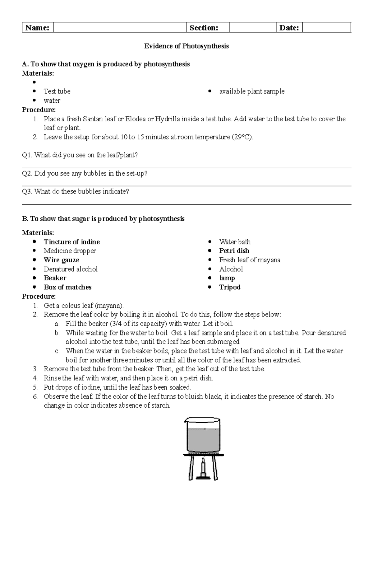 BIO 2 Evidence of Photosynthesis - Name: Section: Date: Evidence of ...