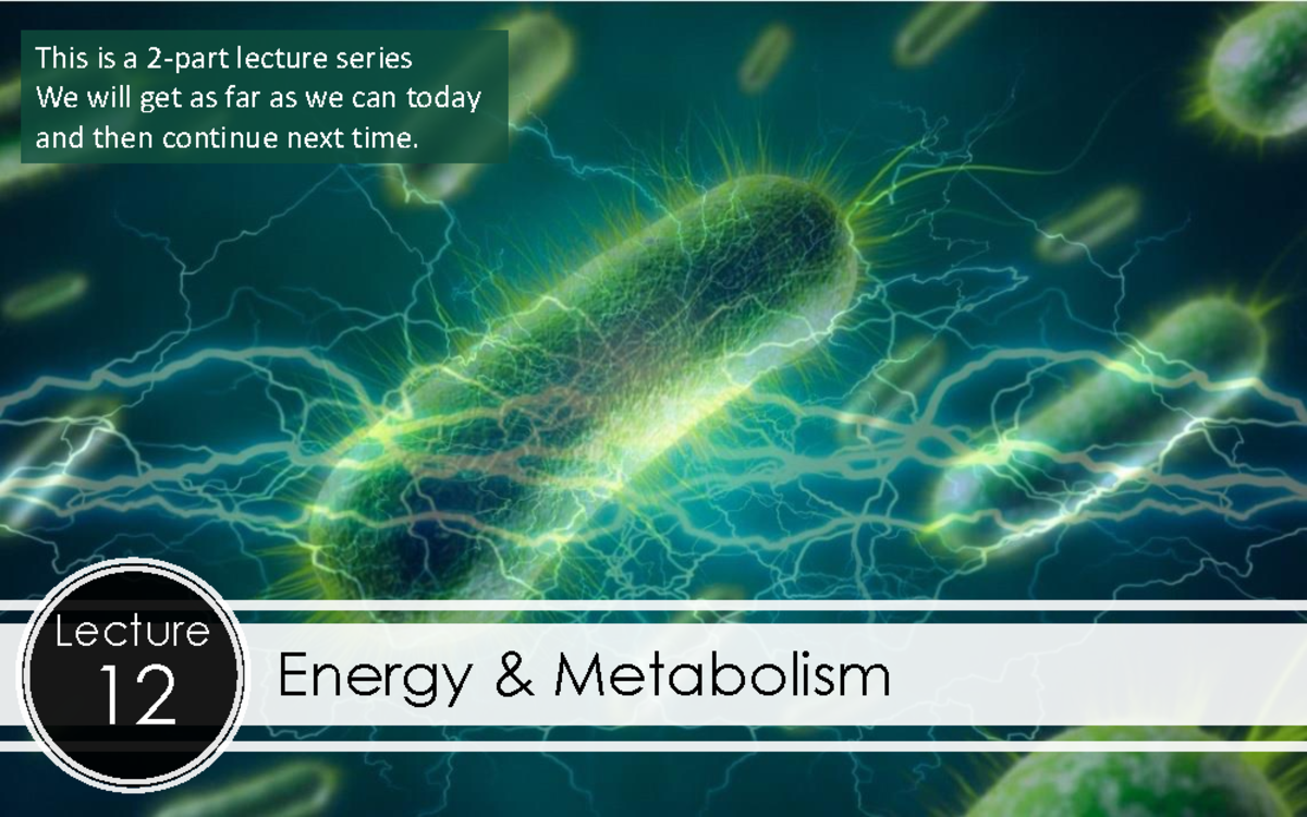 Energy & Metabolism Lecture 12 (Bio 101) - Key Concepts & Insights ...