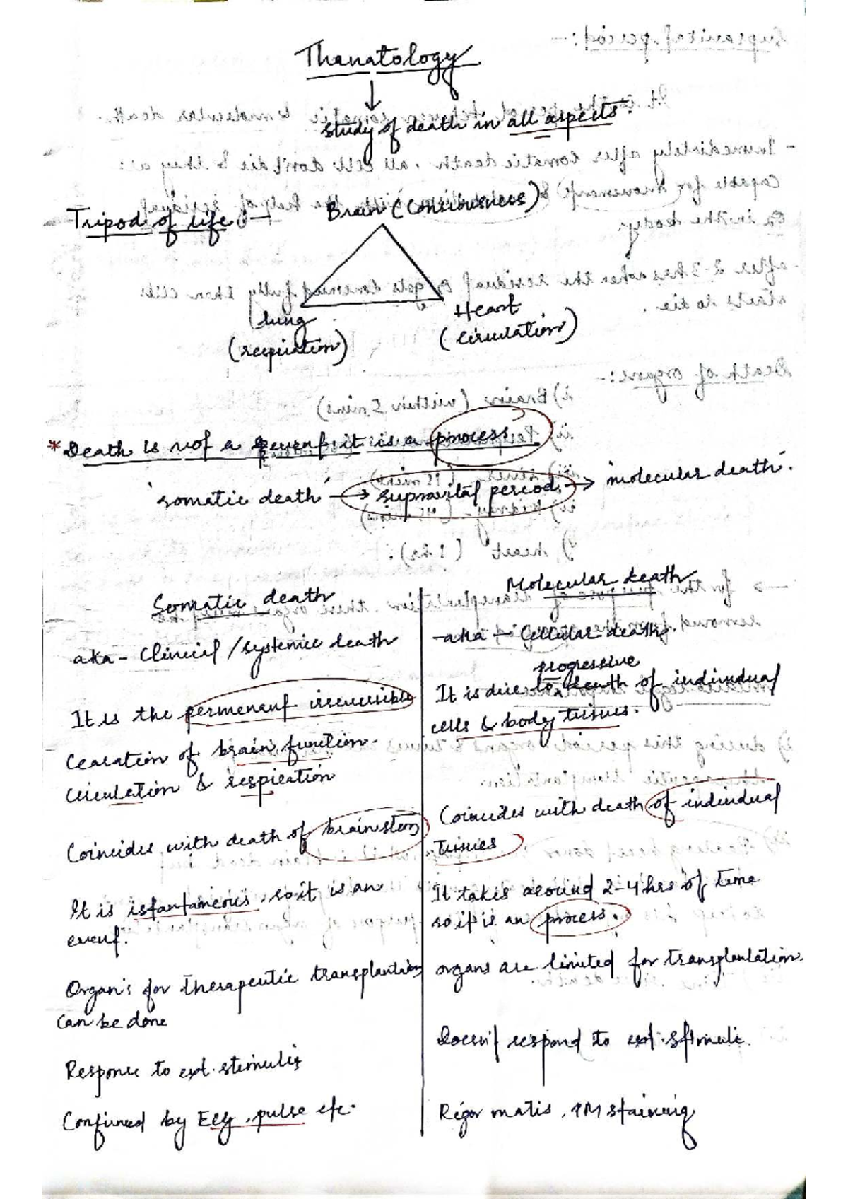 Thanatology Study Notes: Understanding Death Processes and Definitions ...