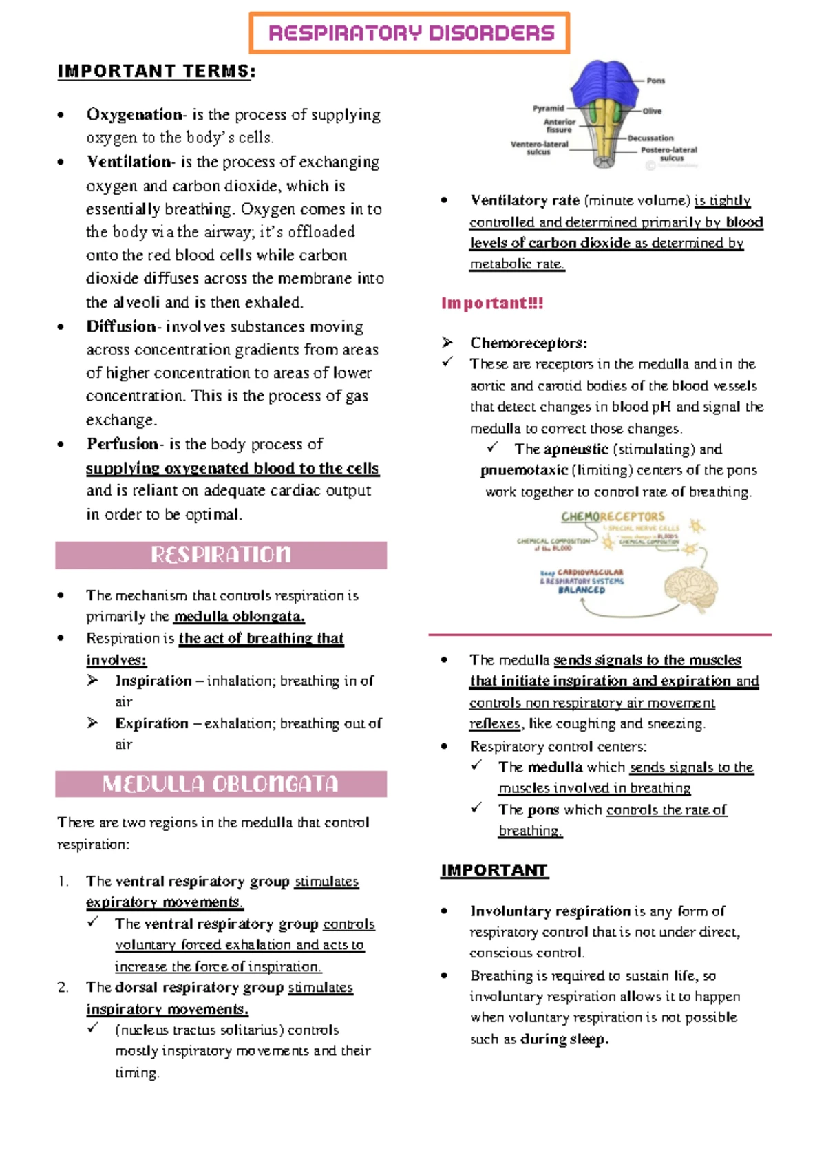 Pediatric Assessment Tool: A Comprehensive Guide for Nursing Students ...