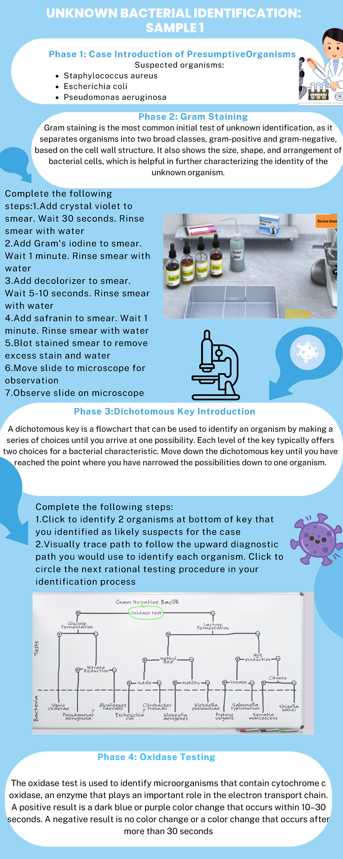 Microbiology LAB: Unknown Bacterial Identification Process Steps - Studocu