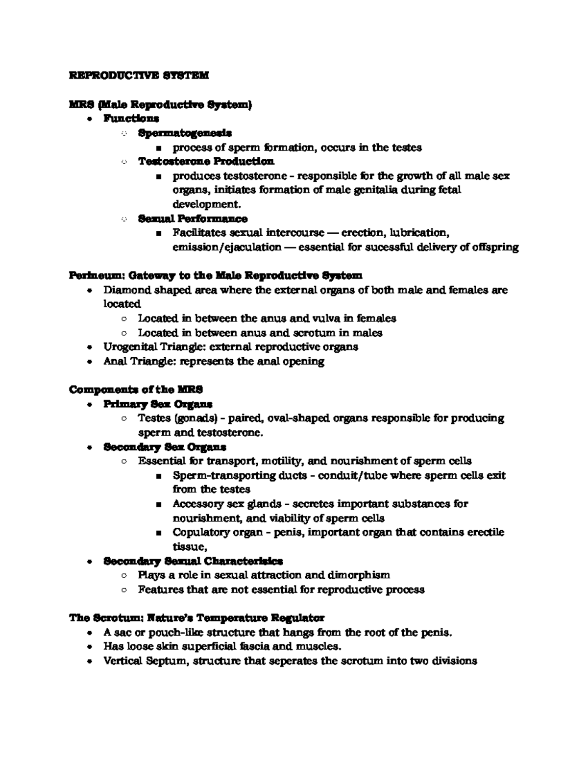 Reproductive System - REPRODUCTIVE SYSTEM MRS (Male Reproductive System ...