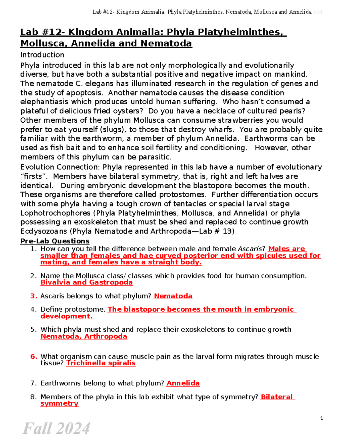 Lab #12: Kingdom Animalia - Phyla Platyhelminthes, Nematoda, Mollusca ...