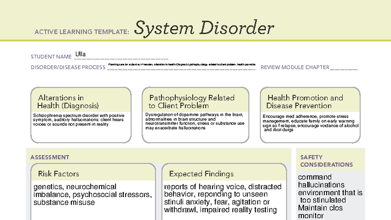 ACTIVE LEARNING TEMPLATE: System Disorder Care for Auditory ...