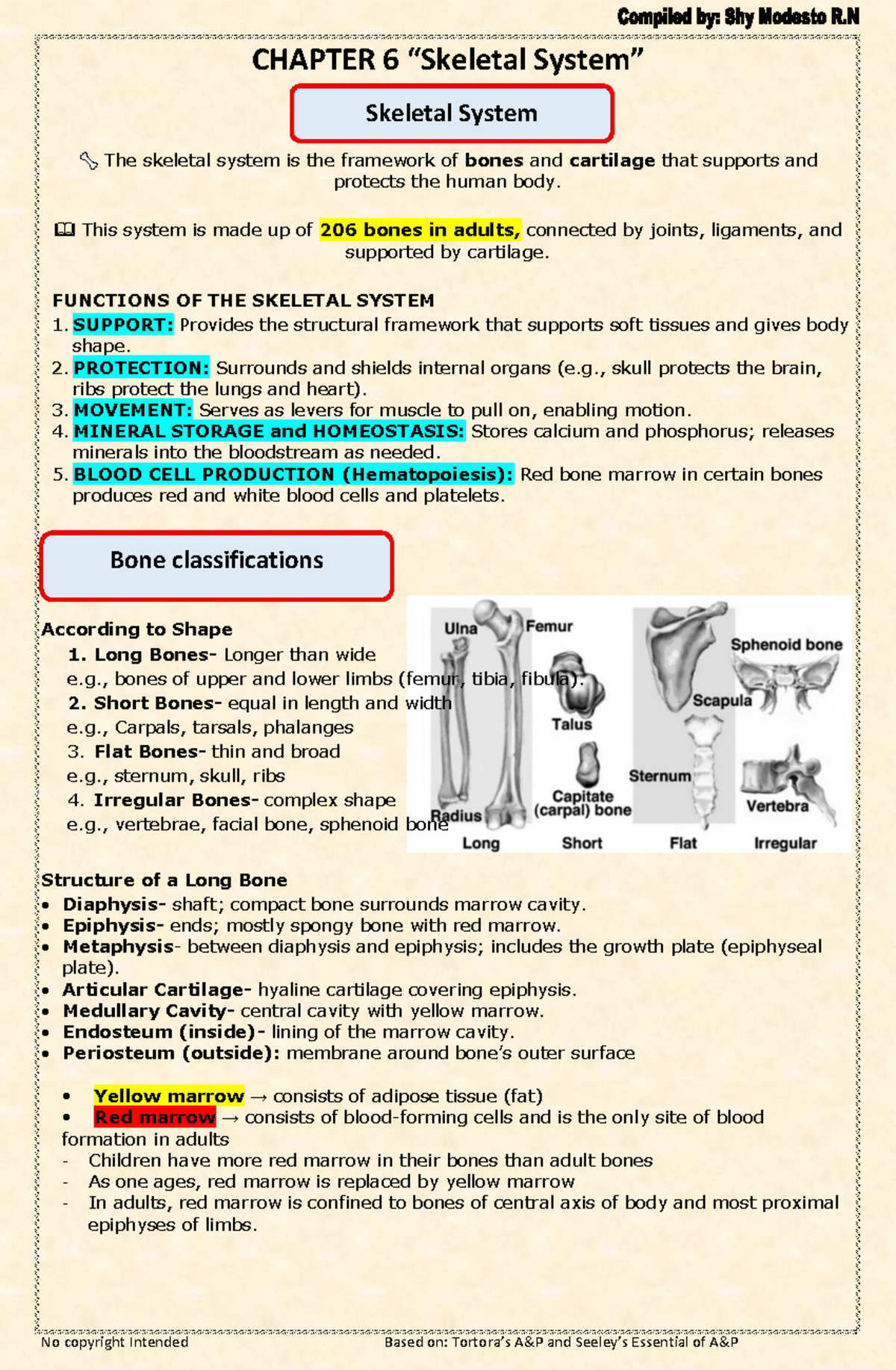 CHAPTER 6: Skeletal System Overview and Functions (054924) - Studocu