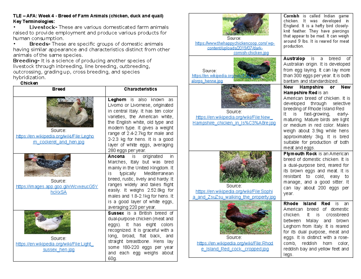 AFA TLE Week 4 Notes: Breeds of Chickens, Ducks, and Quails - Studocu