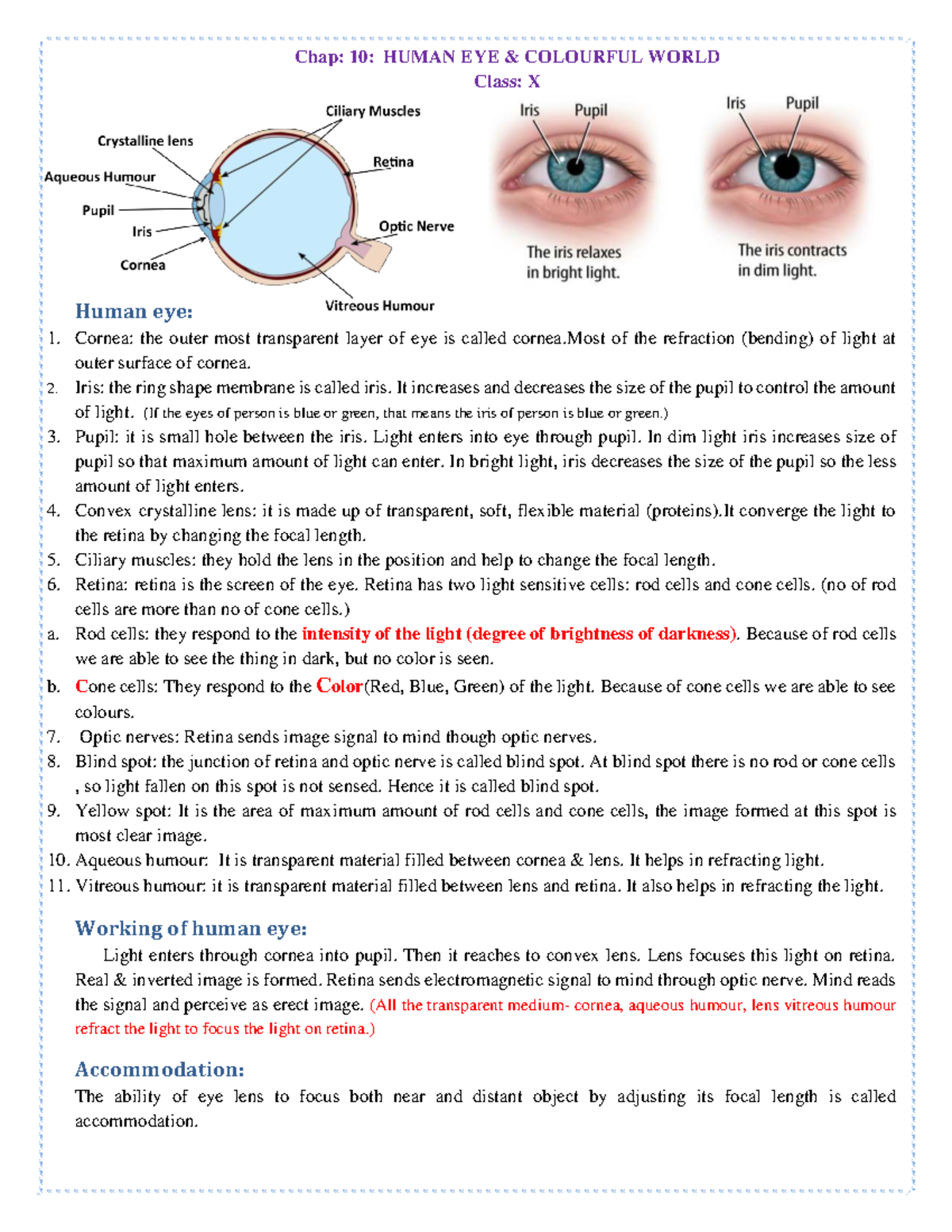 Chap 10: Human Eye - A Colourful World (Class X) - Studocu