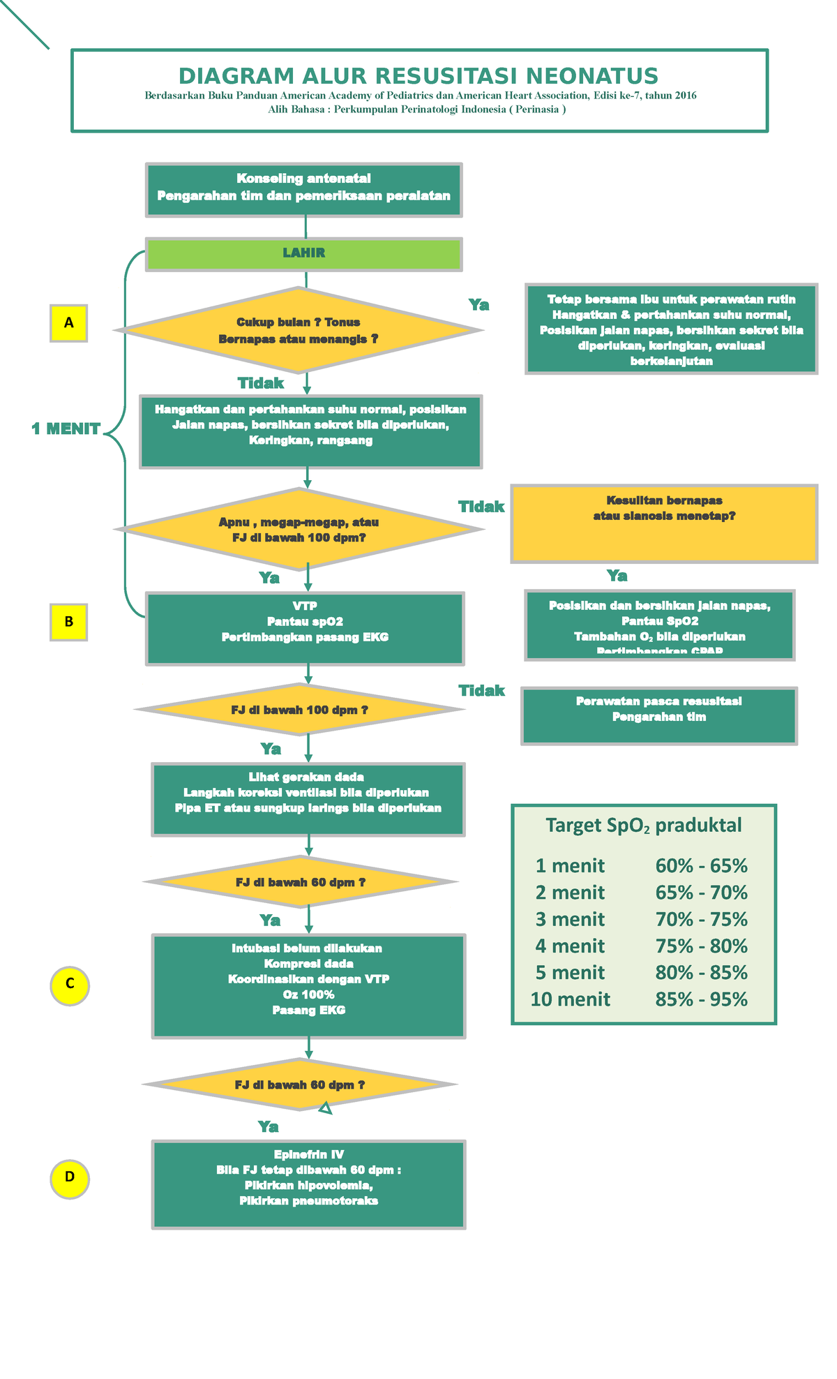 Diagram Alur Resusitasi Neonatus berdasarkan AAP & AHA Edisi 2016 - Studocu