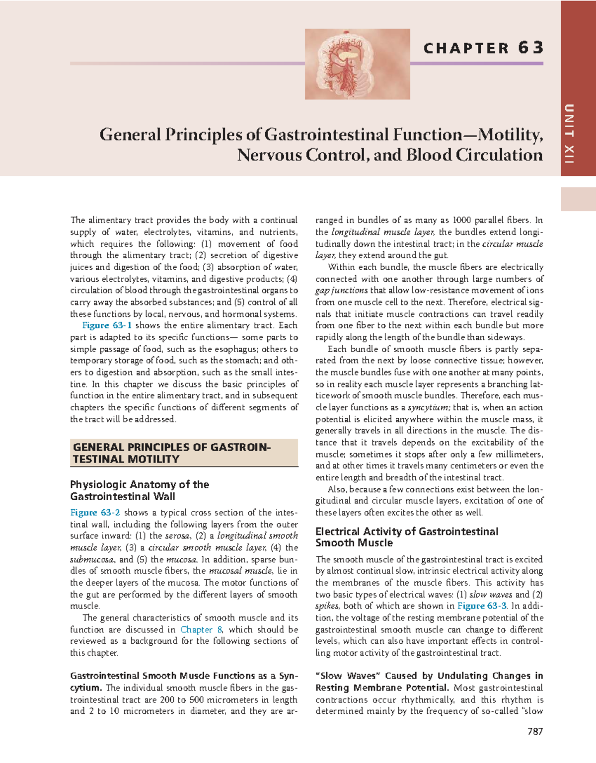 Gastrointestinal Physiology: Control of Motility & Blood Flow (Unit XII ...
