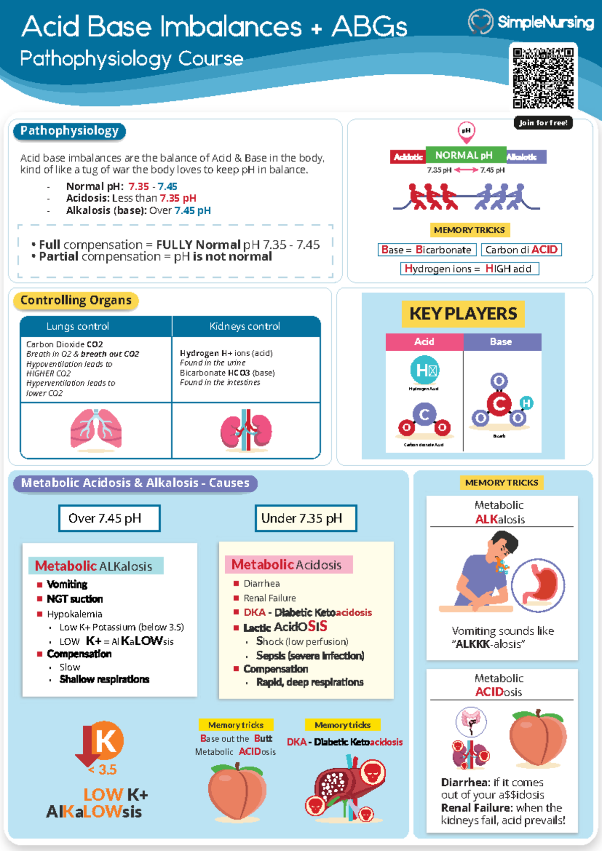 Acid-Base Imbalances & ABGs: Pathophysiology Course Notes - Studocu