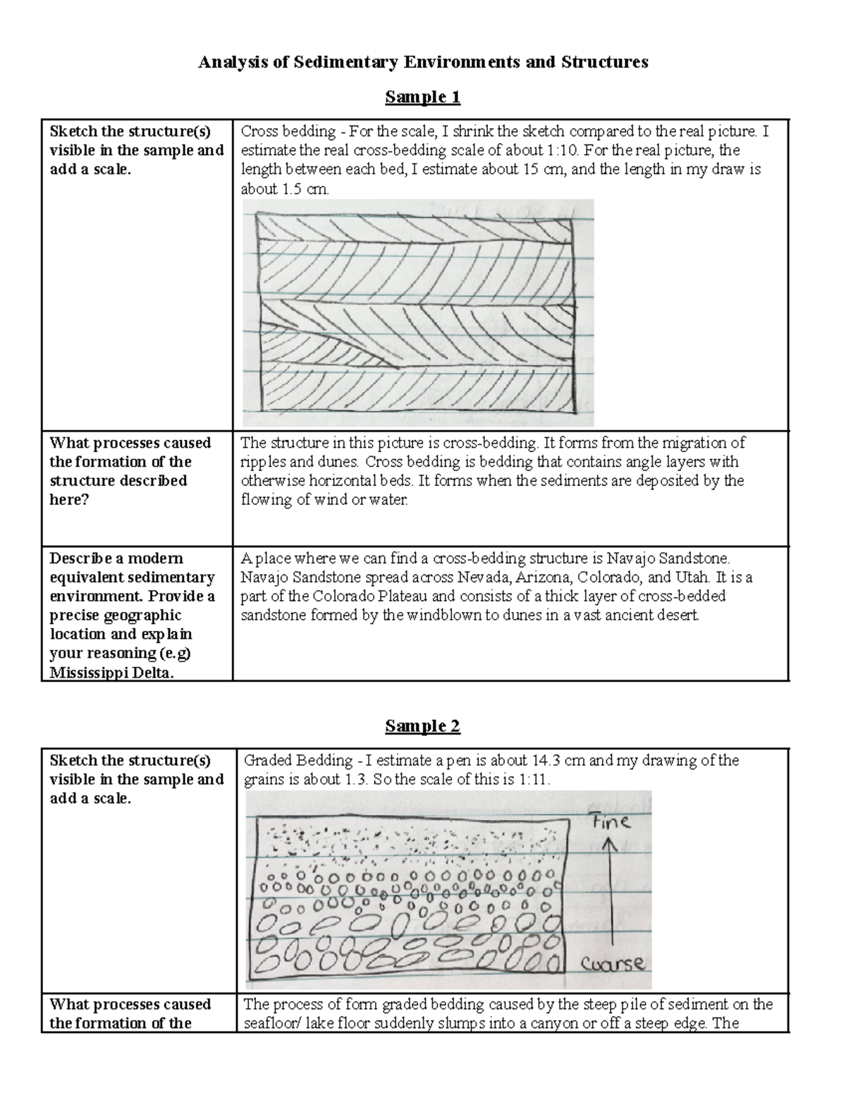 Sed Structures ID - Analysis of Sedimentary Environments and Structures ...