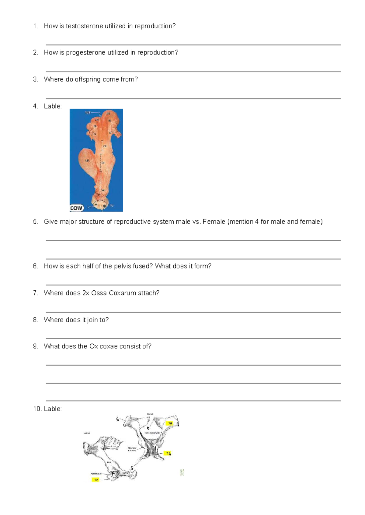 Lecture 1 DAF: Urogenital Reproduction & Anatomy Questions - Studocu