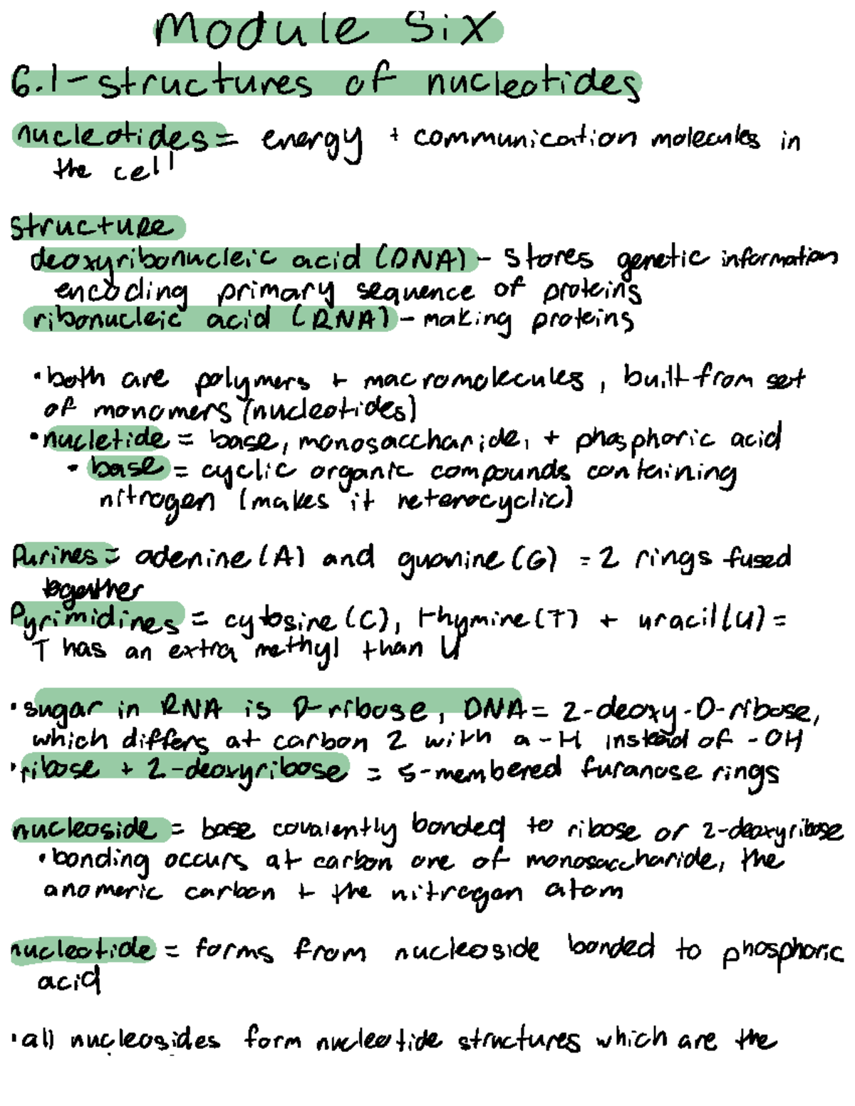 Chem 212: Nucleotides, DNA, RNA Structures & Functions Study Notes ...