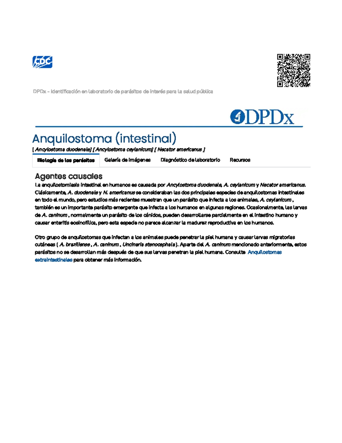 CDC - DPDx - Análisis de Anquilostomas Intestinales y Diagnóstico Lab ...