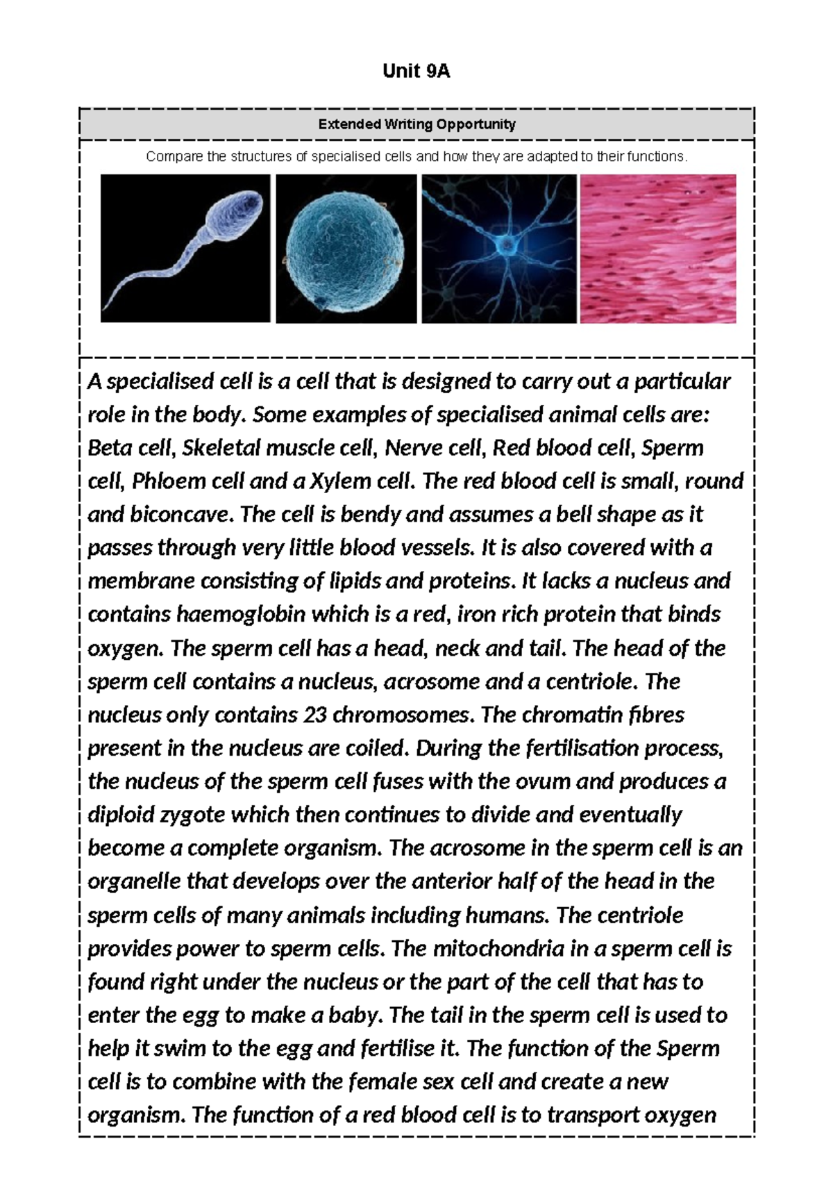Unit 9A - Lesson 5: Specialised Cells Formative Assessment Guide - Studocu