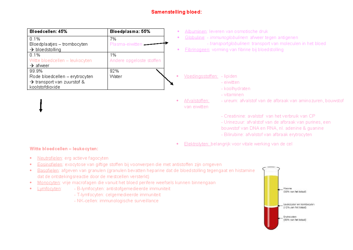 Overzichtelijk schema - bloed - Samenstelling bloed: Witte bloedcellen ...