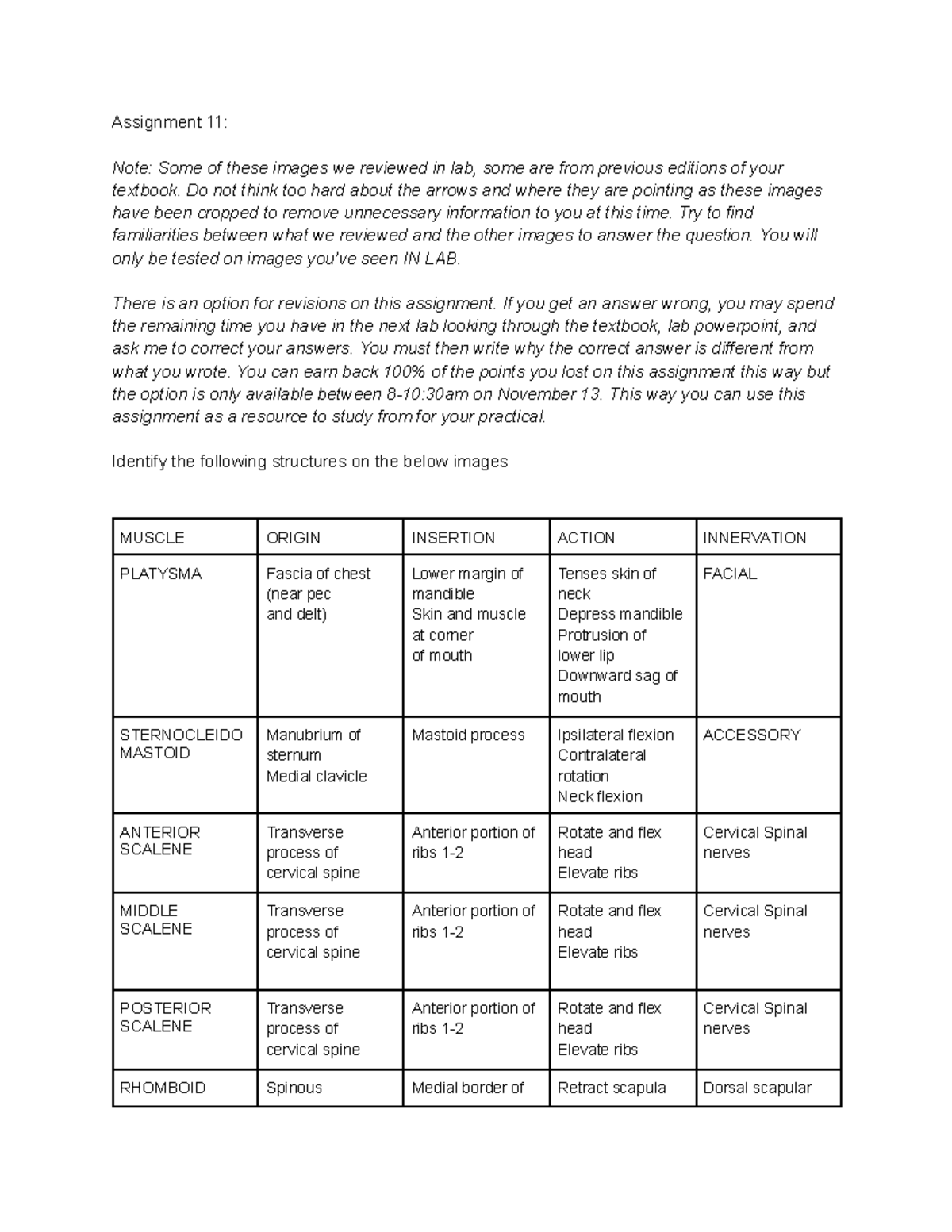 Assignment 11: Muscle Origin, Insertion, Action, and Innervation Guide ...