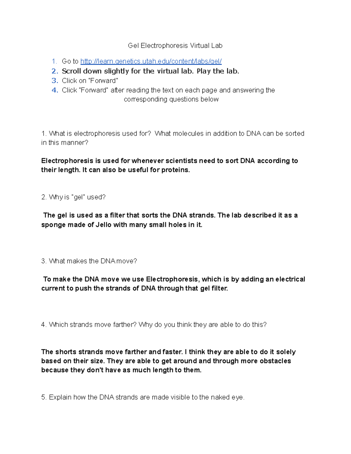 Gel Electrophoresis Virtual Lab Guide - BIO 101 Lab Notes - Studocu