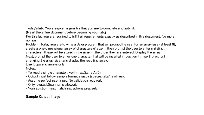 Lab: Java Program for Array Manipulation and Character Insertion - Studocu