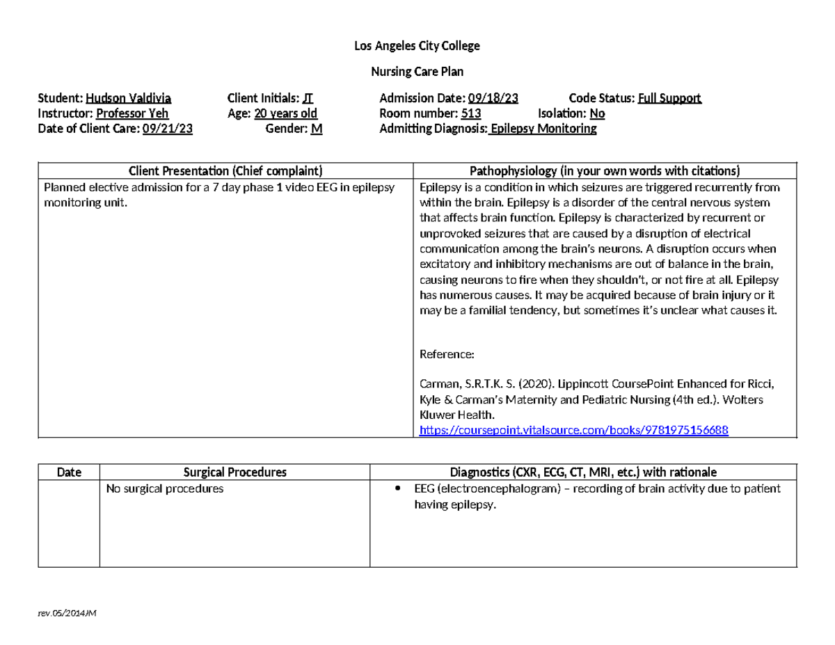 PEDS 101: Nursing Care Plan for Epilepsy Monitoring in Adolescents ...