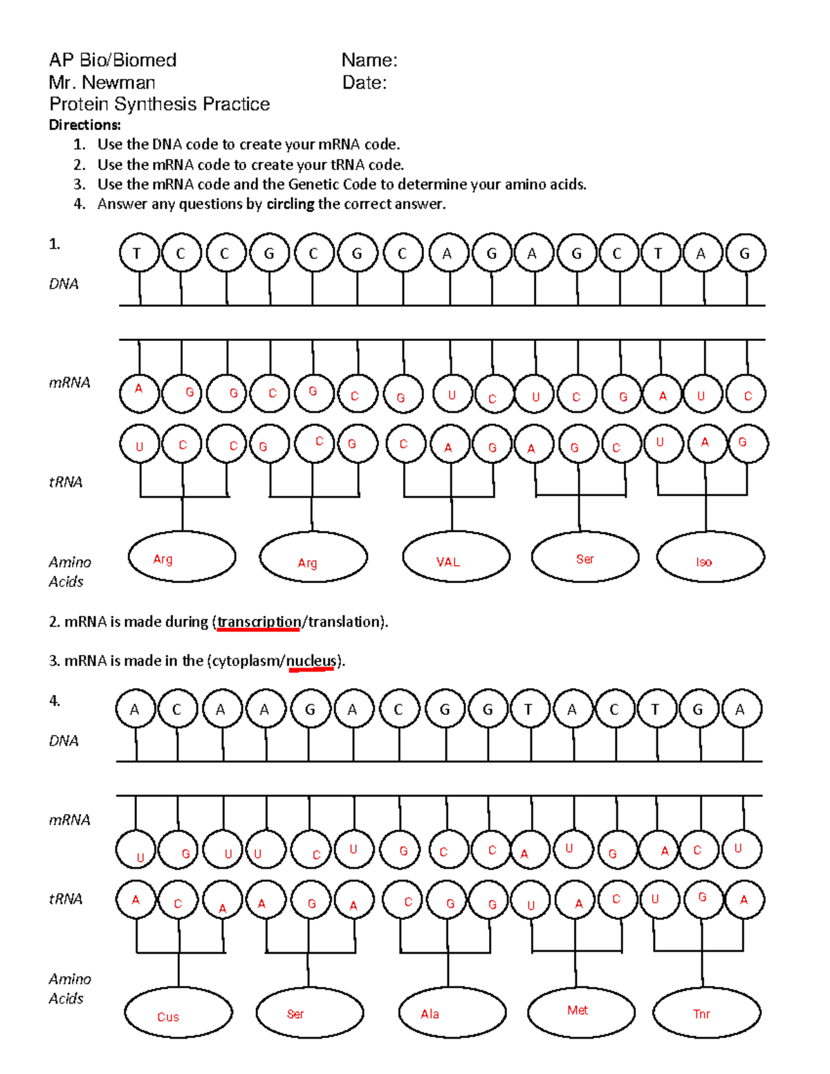 Protein Synthesis Worksheet - AP Bio/Biomed Name: Mr. Newman Date ...