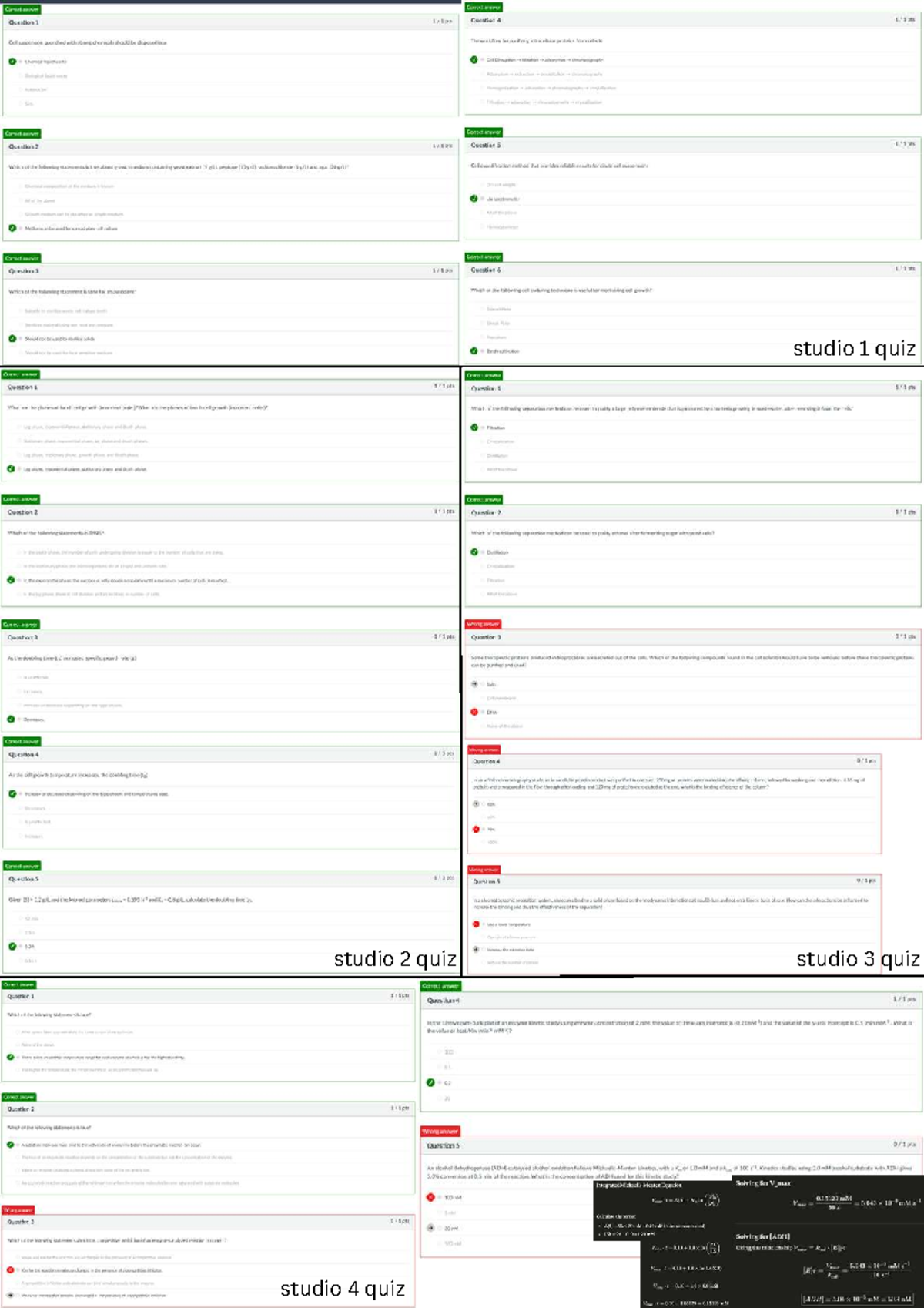 Studio Quizzes Overview and Analysis - Studocu