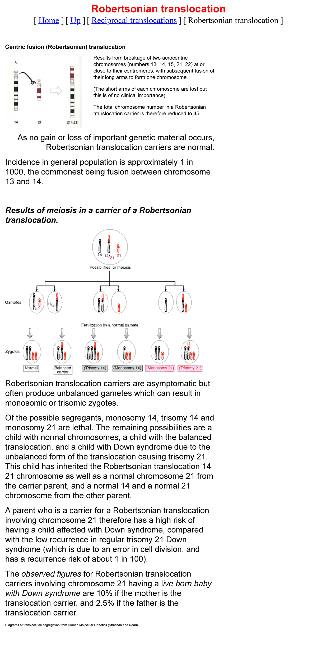 Robertsonian Translocation: Mechanisms and Genetic Implications - Studocu