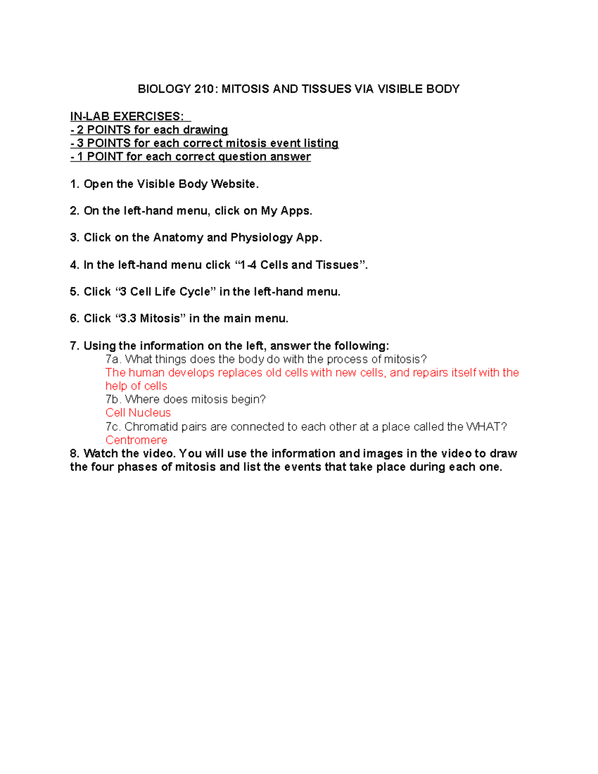 BIO 210 Mitosis and Tissues Lab SP2021 - BIOLOGY 210: MITOSIS AND ...