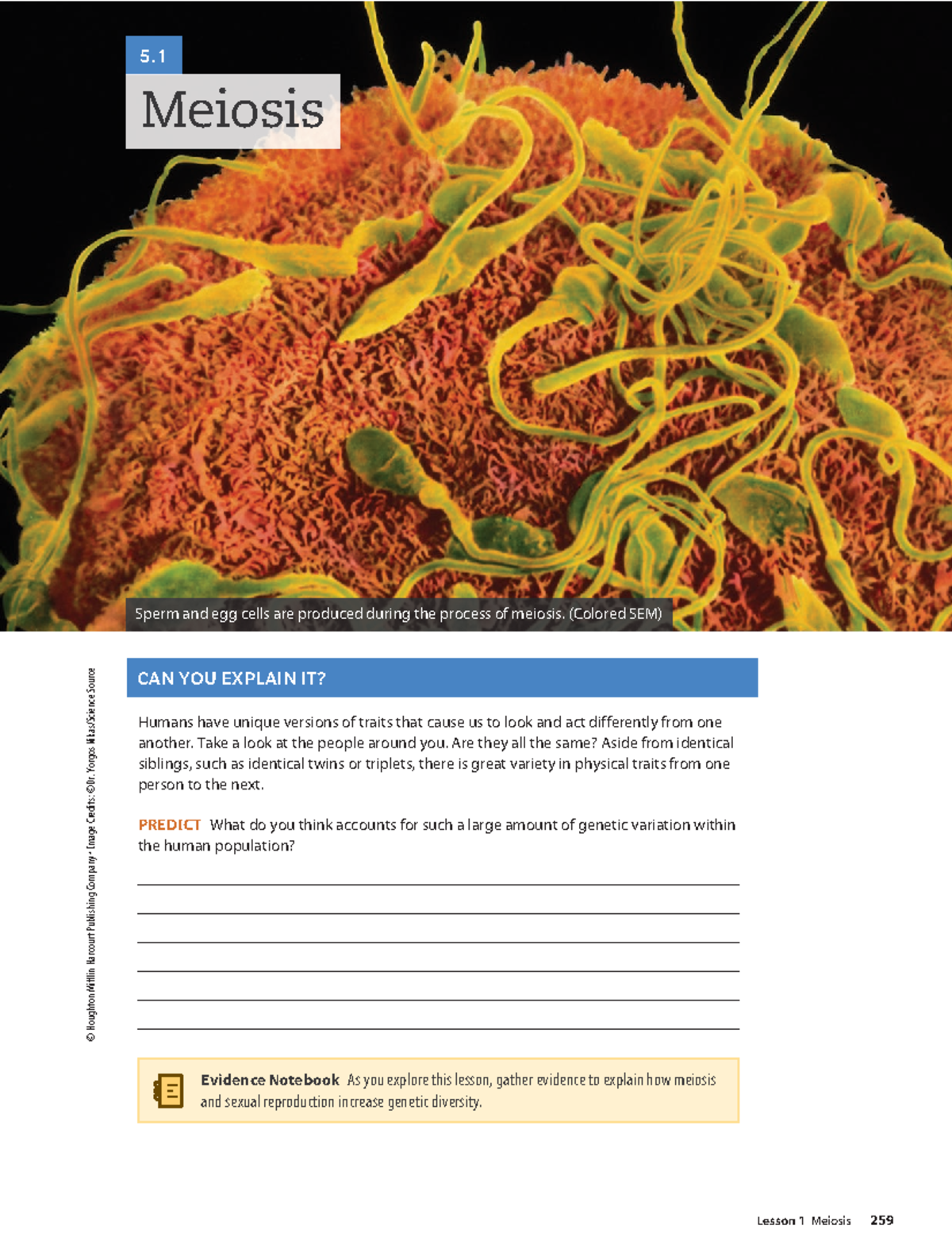 Genetic Variation and Meiosis: Exploring Diversity in Human Traits ...
