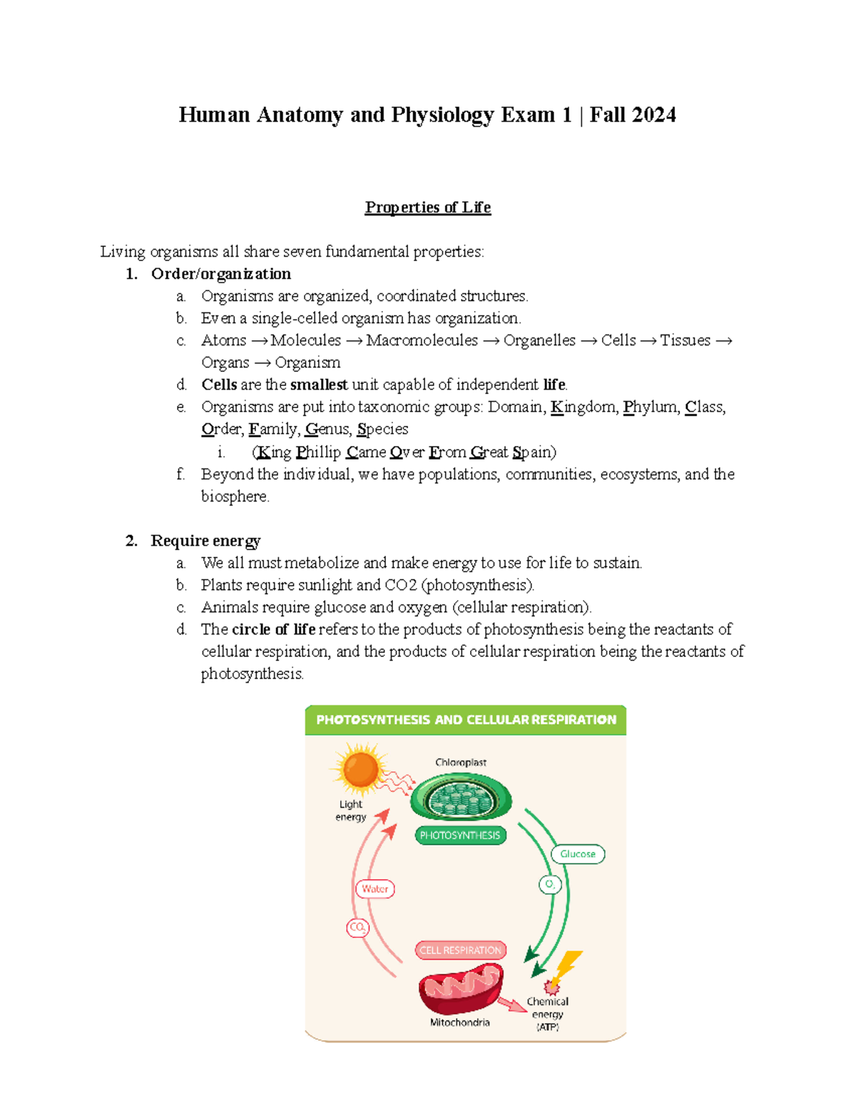Human Anatomy and Physiology Exam 1 Review Notes - Fall 2024 - Studocu