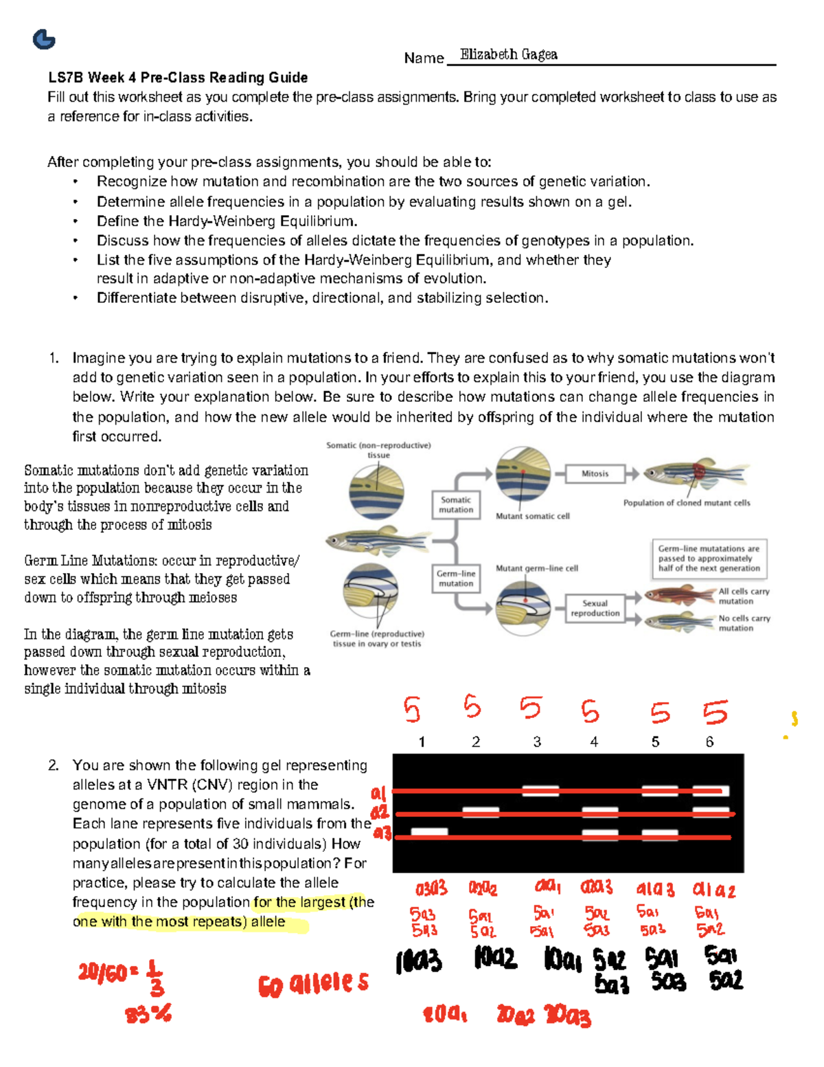 LS7B Week 4 Pre-Class Reading Guide on Genetic Variation and Evolution ...
