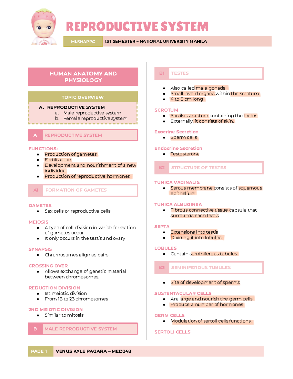 7 Reproductive - HUMAN ANATOMY AND PHYSIOLOGY TOPIC OVERVIEW A ...