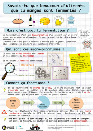 SVT 3ème L1 LES Aliments ET Lhomme - THÈME : La nutrition chez l’Homme ...
