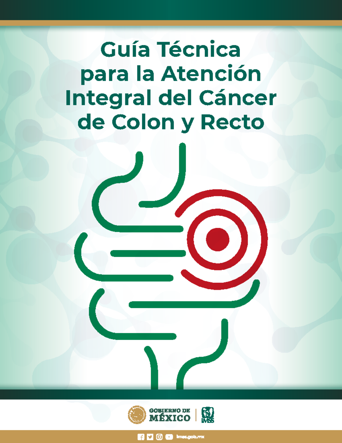 Guía Técnica CHKT: Atención Integral del Cáncer de Colon y Recto - Studocu