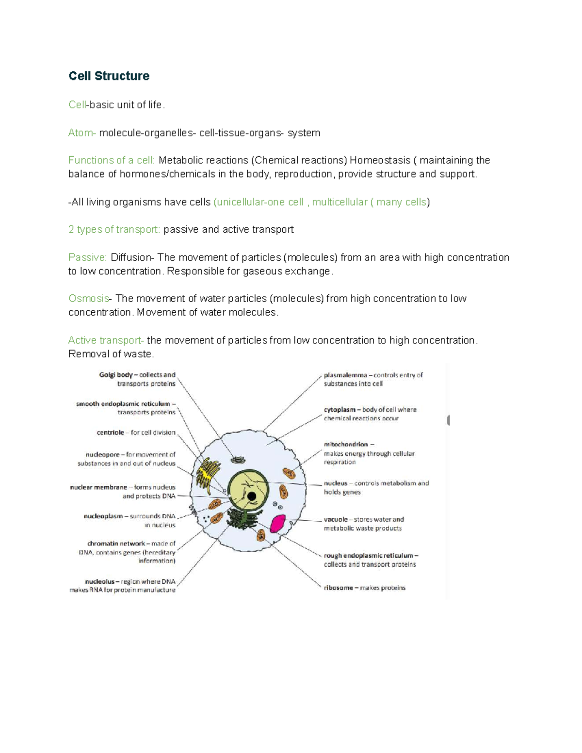 Life sciences - Cells: Understanding cell structure and functions - Studocu