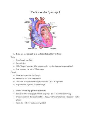 Unit 3 Study Guide: Blood, Respiratory, and Digestive Systems Overview ...