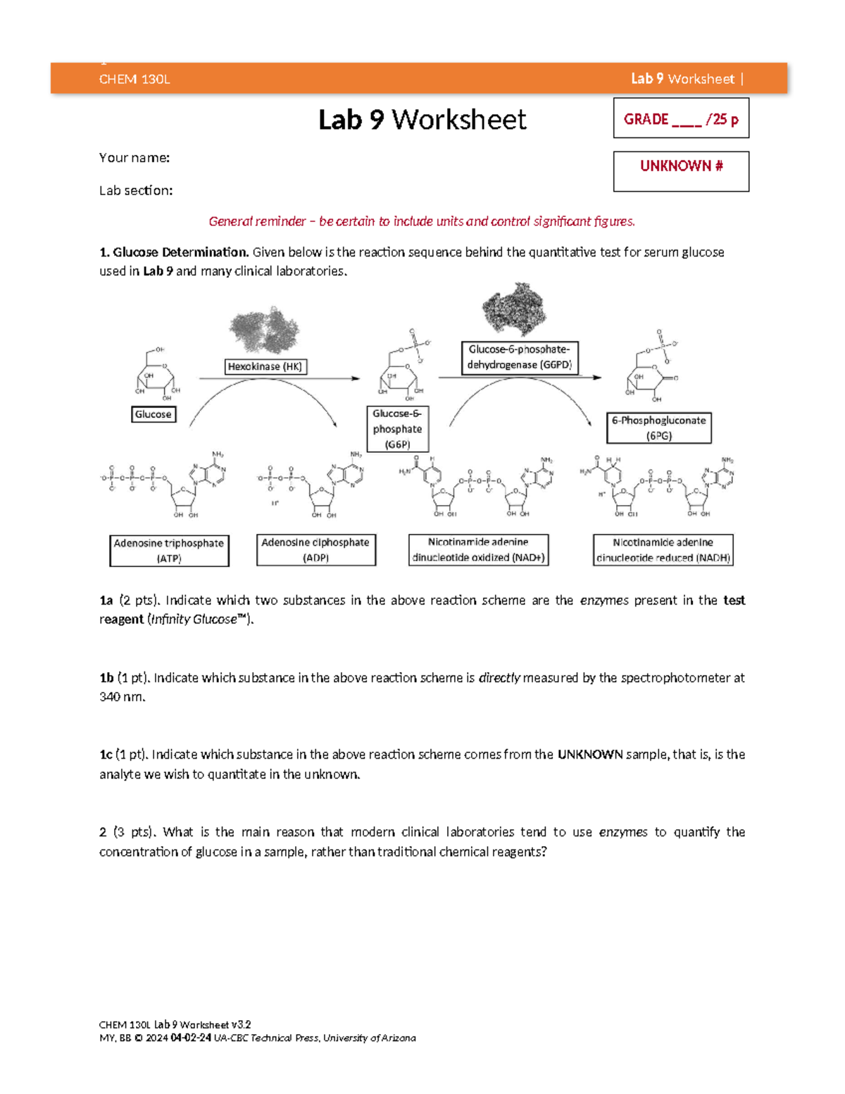 Chem 130L Lab 9 worksheet: Glucose determination and analysis - Studocu