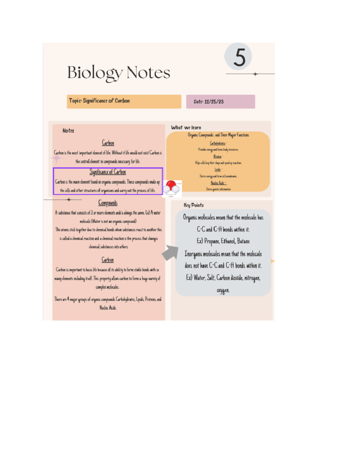 Bio 4 - Biology year 1 enjoy. - 5 Biology Notes Topic: Significance of ...