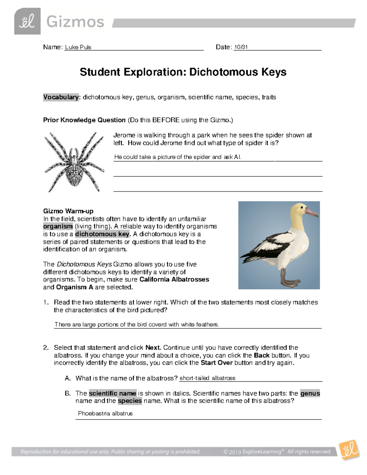 Dichotomous Keys SE - Answers for Student Exploration - Studocu