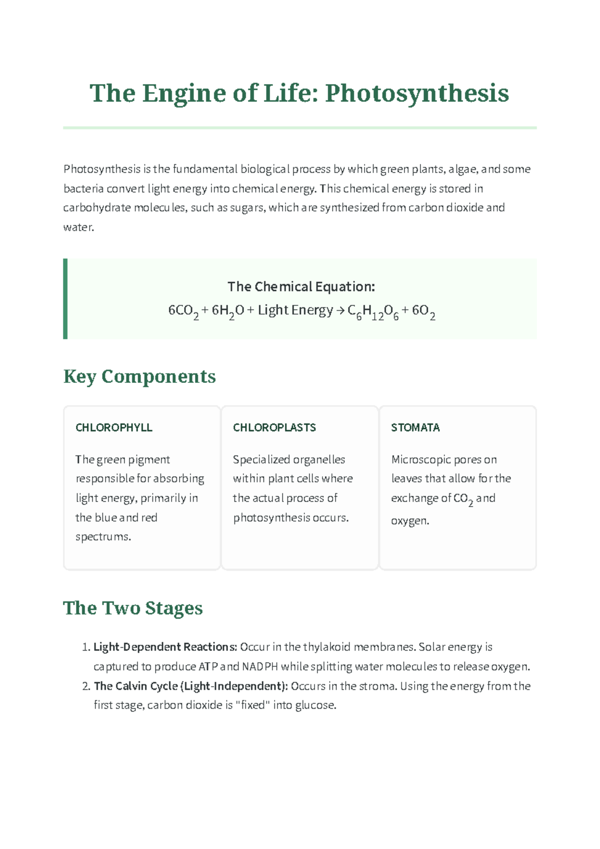 Photosynthesis Overview: The Engine of Life in Plants - Studocu